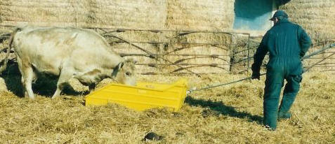 SUN-TAG SLED | Livestock Equipment | Calving Equipment