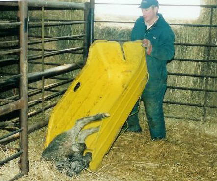 SUN-TAG SLED | Livestock Equipment | Calving Equipment